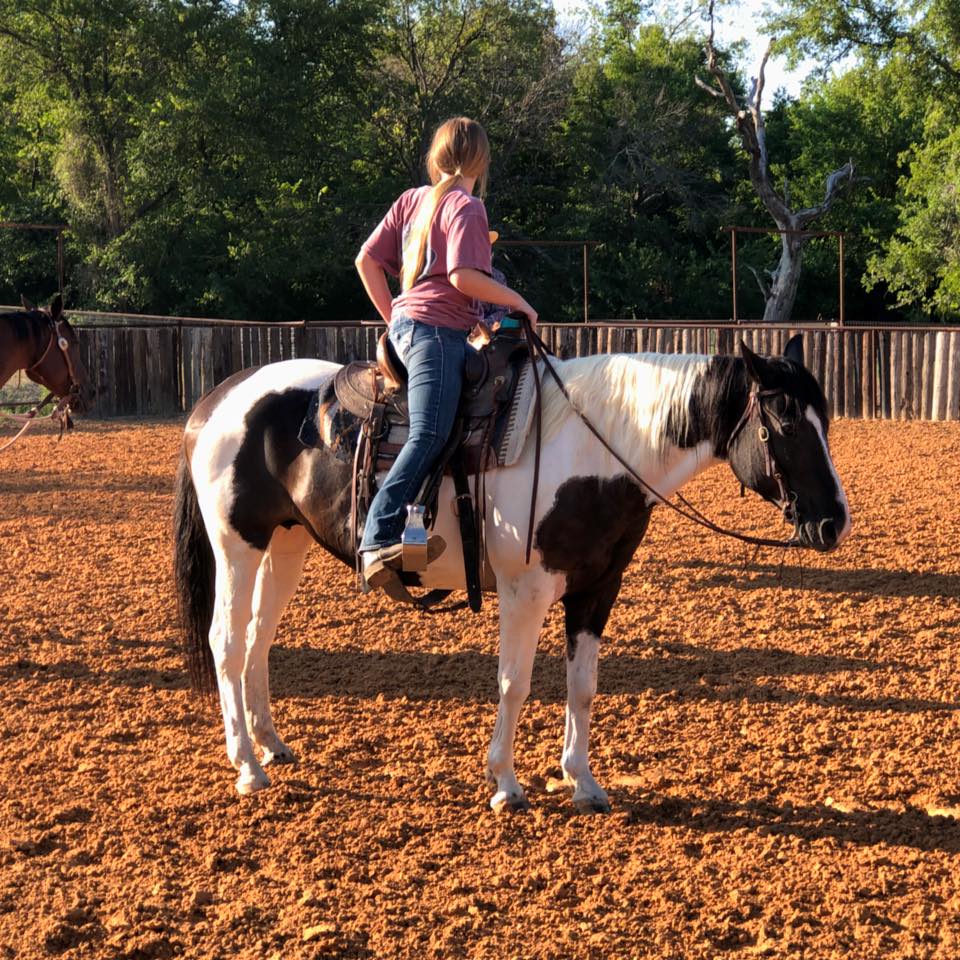 » Super gentle mare Traci Davis