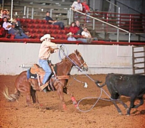 » Top rope horse – money earner Traci Davis