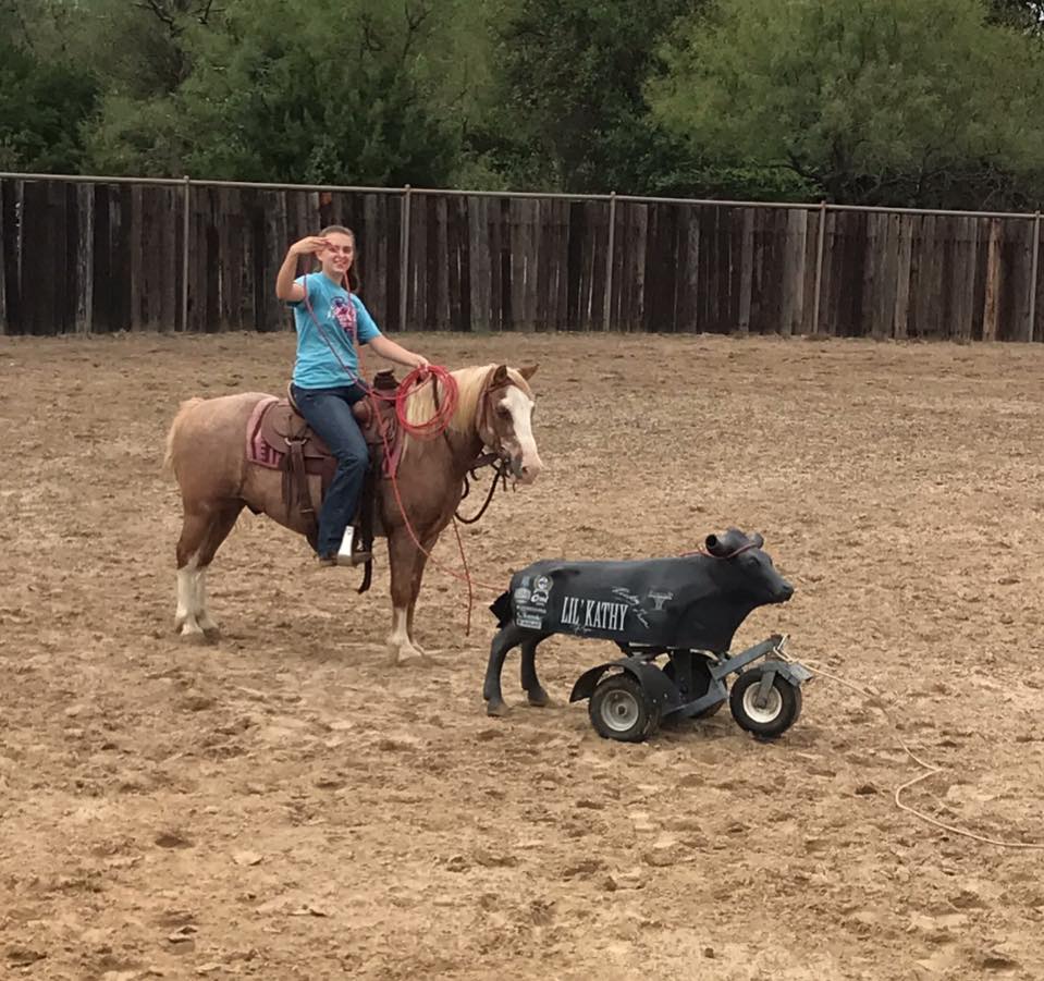 » Stout built pony Traci Davis