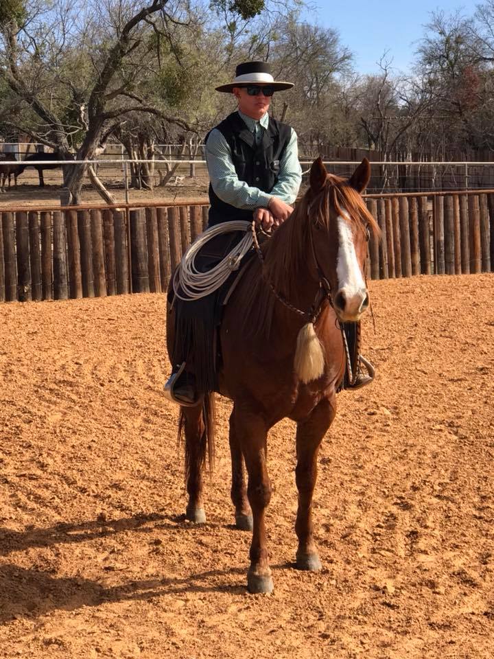 » Big stout ranch gelding Traci Davis