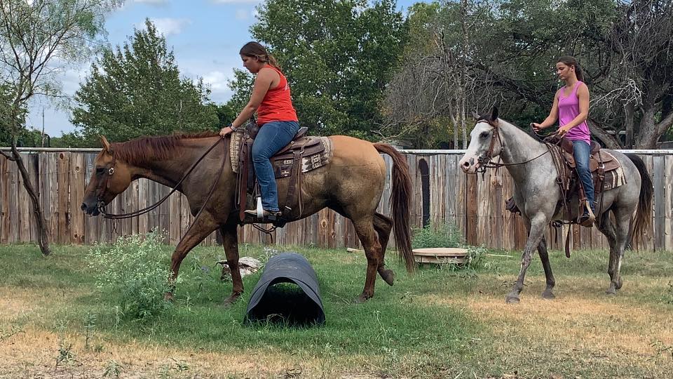 » Stout dun mare Traci Davis