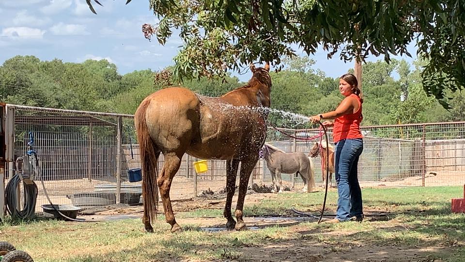 » Stout dun mare Traci Davis