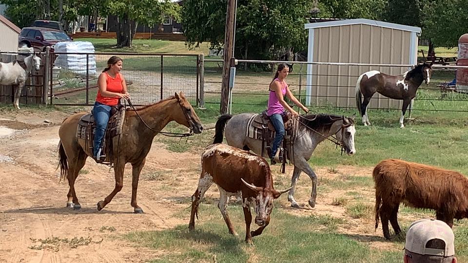 » Stout dun mare Traci Davis