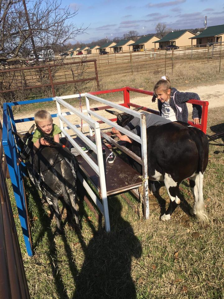 » Unique opportunity Traci Davis