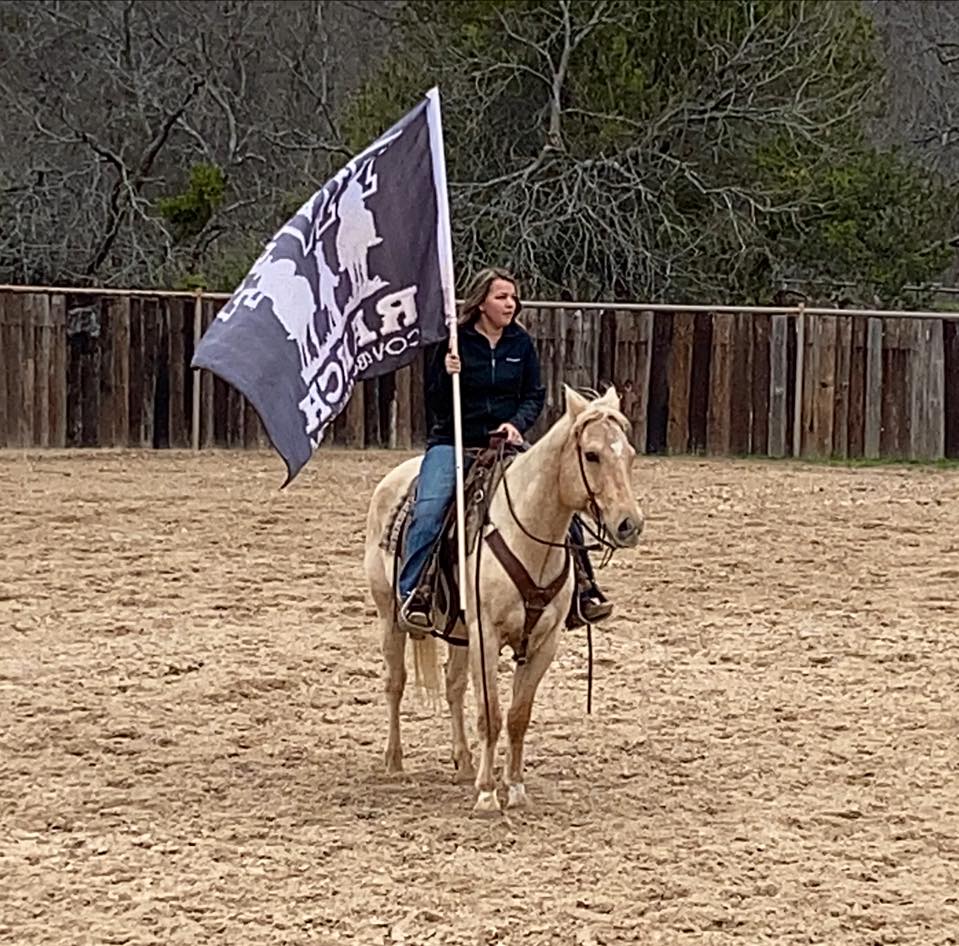 » Stout built palomino gelding Traci Davis